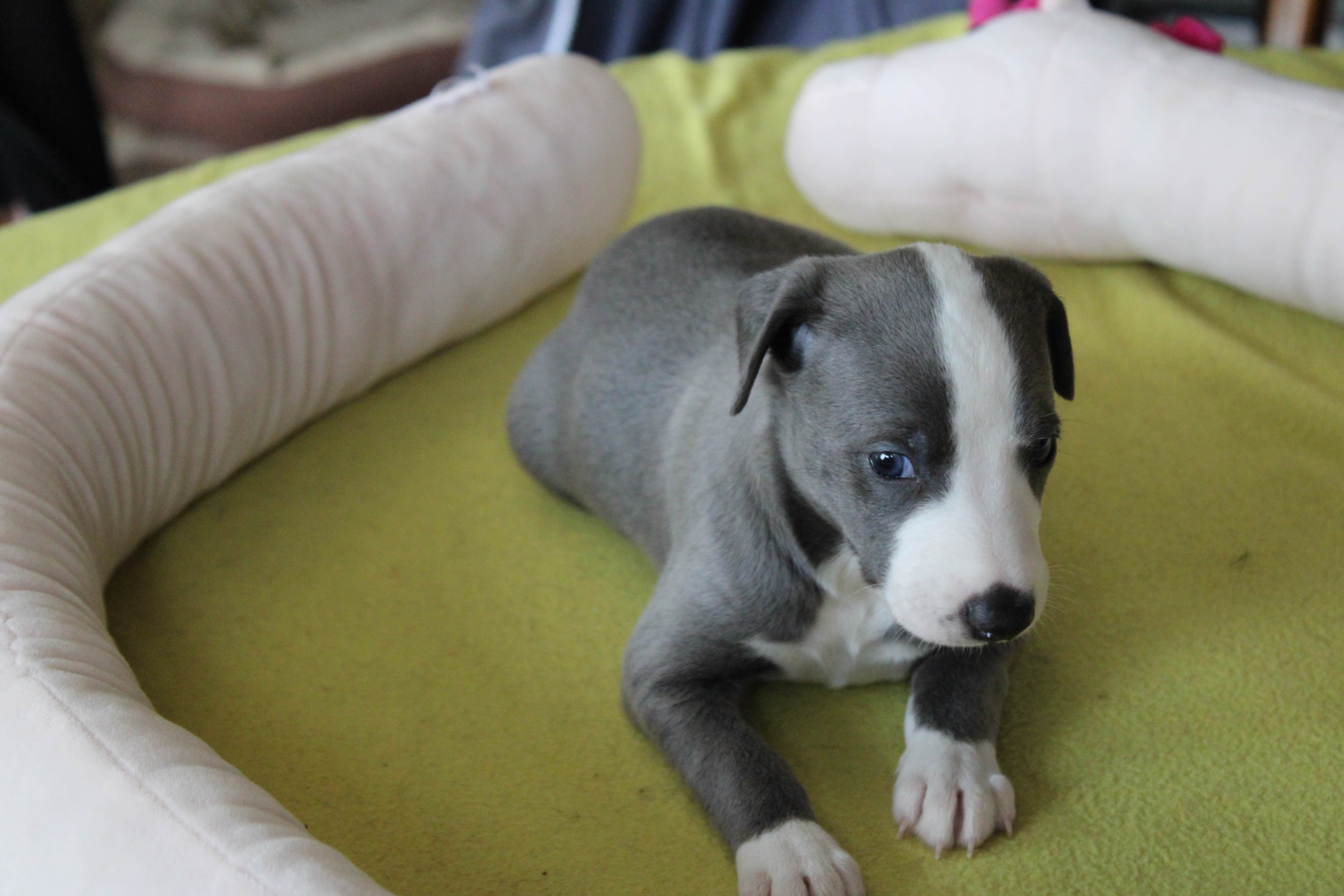 Naissance du 16 Février 2024